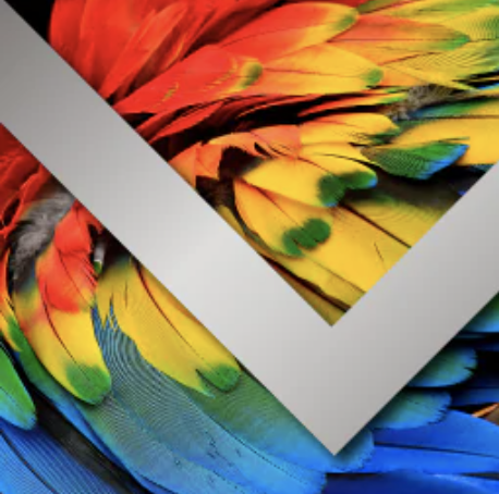 SOURCENEXT Paintgraphic 4 Proの実名評判・レビュー・口コミ｜特徴、料金、機能を解説｜ミナオシ